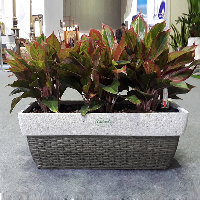 White Sand - Weaved Flat Planter Rectangular