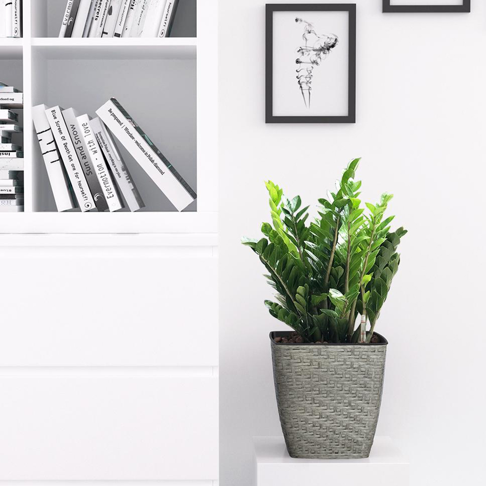 Thin Wicker Planter - Weaved Flat Planter Square