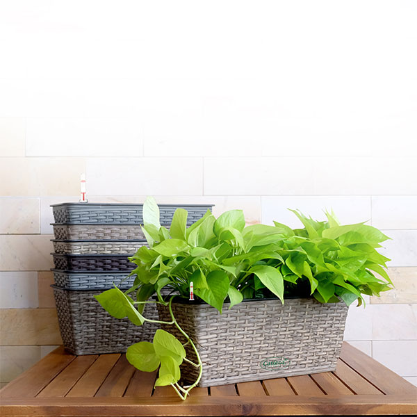 Thin Wicker Planter - Weaved Flat Planter Rectangular